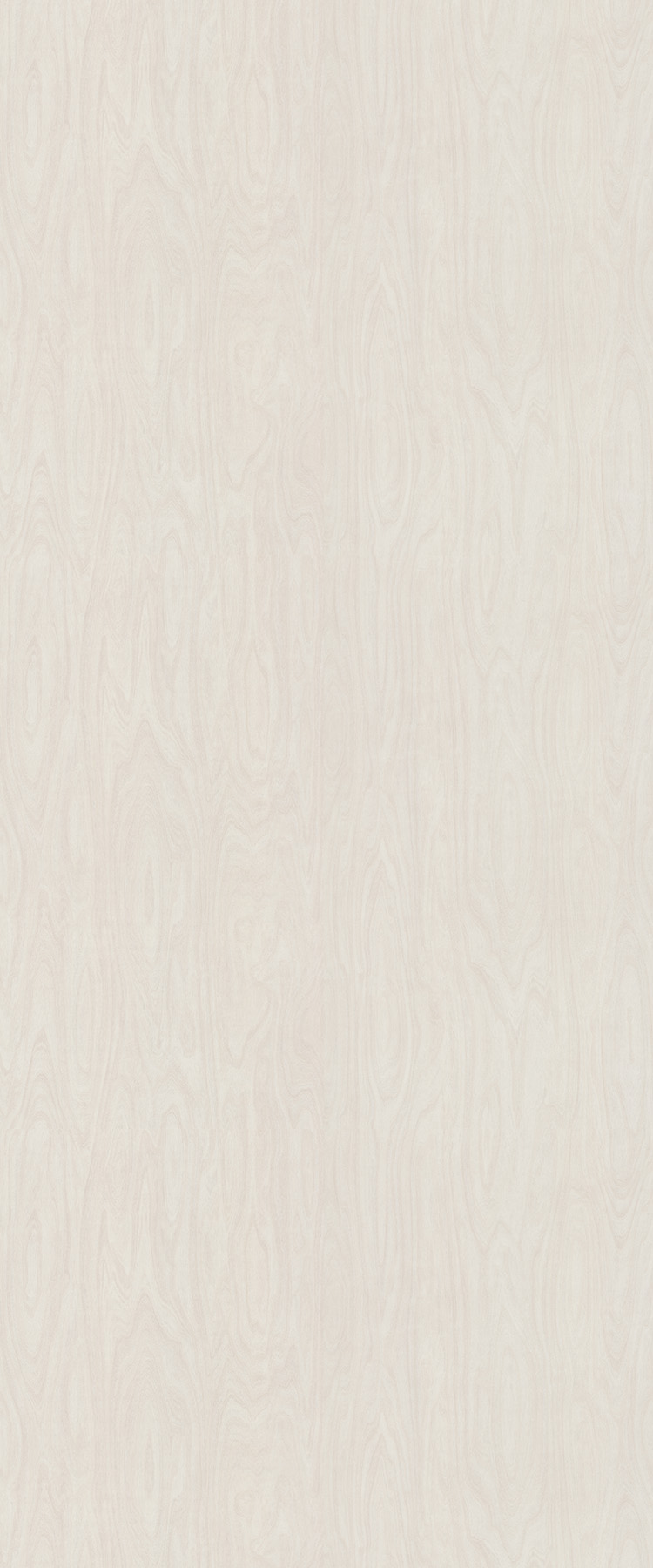 6372 White Washed Birchply - Formica® Laminate - Commercial