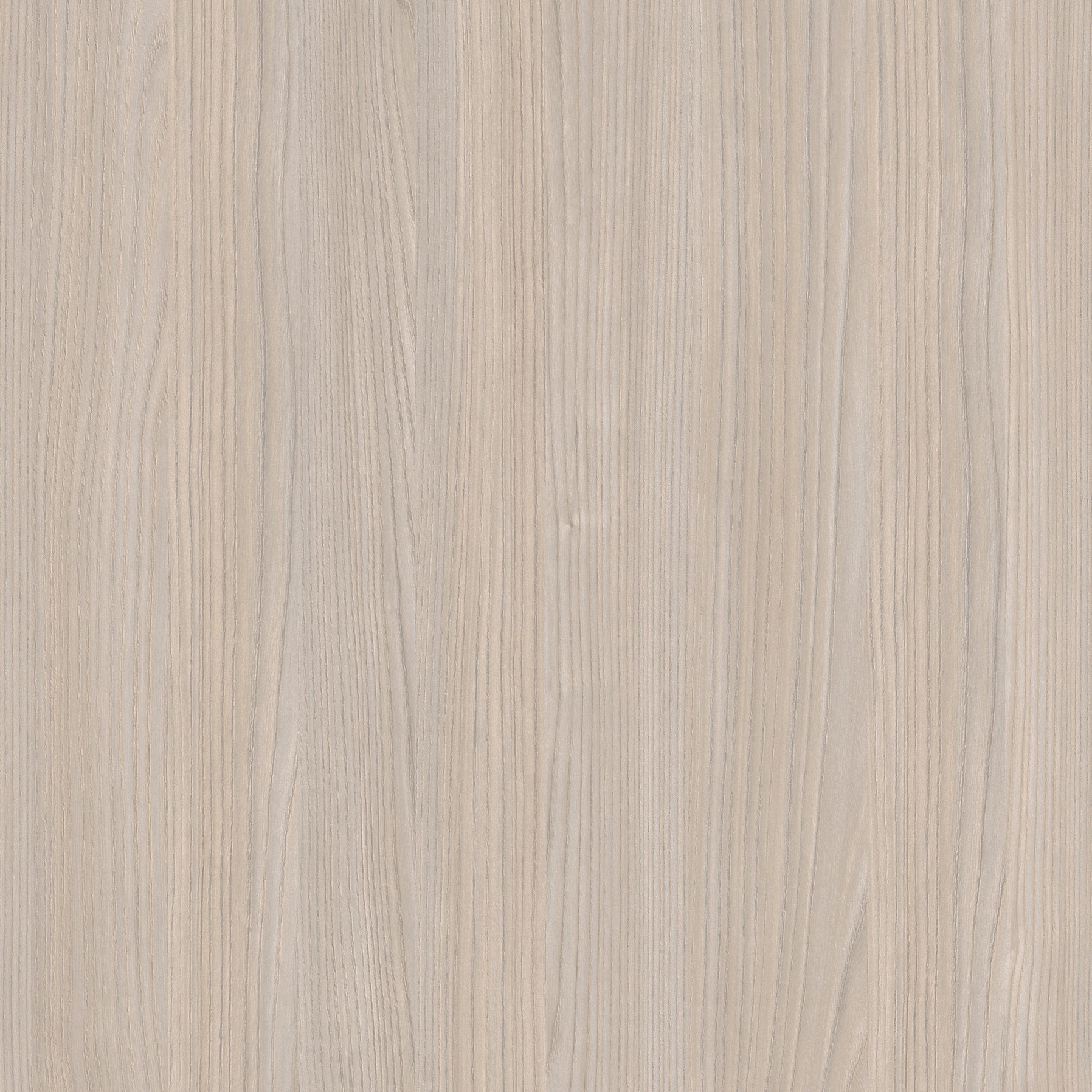 CR5671 Discontinued Frassino