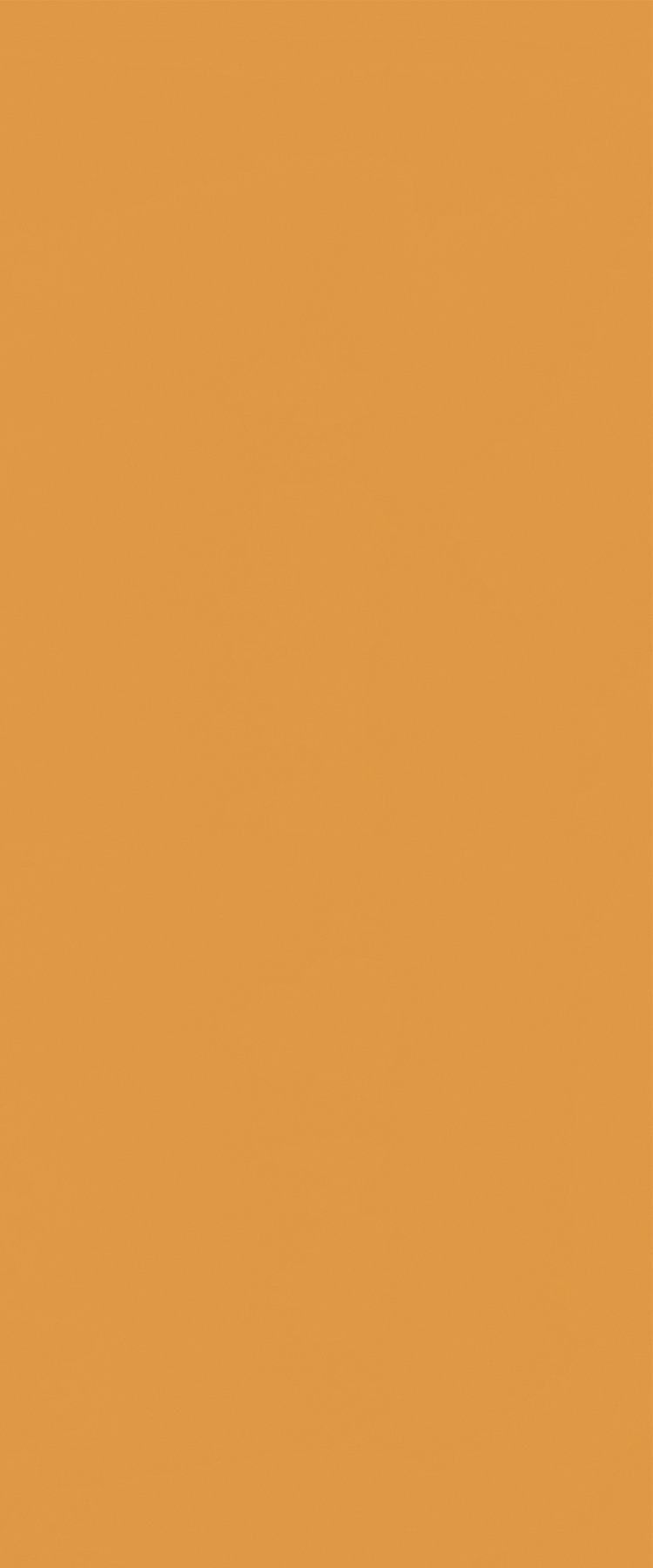 1193 Gold Braze - Formica® Compact