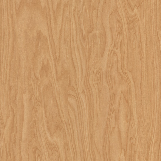 7481 Natural Birch - Formica® Compact