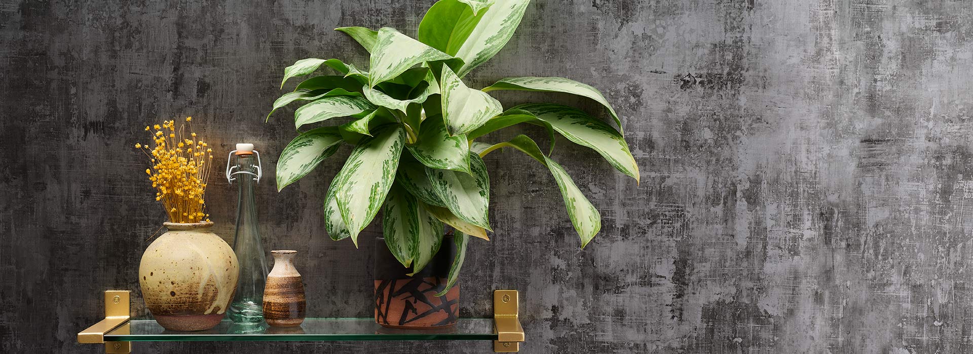 The Homapal® Metal Laminate Collection | Formica Group