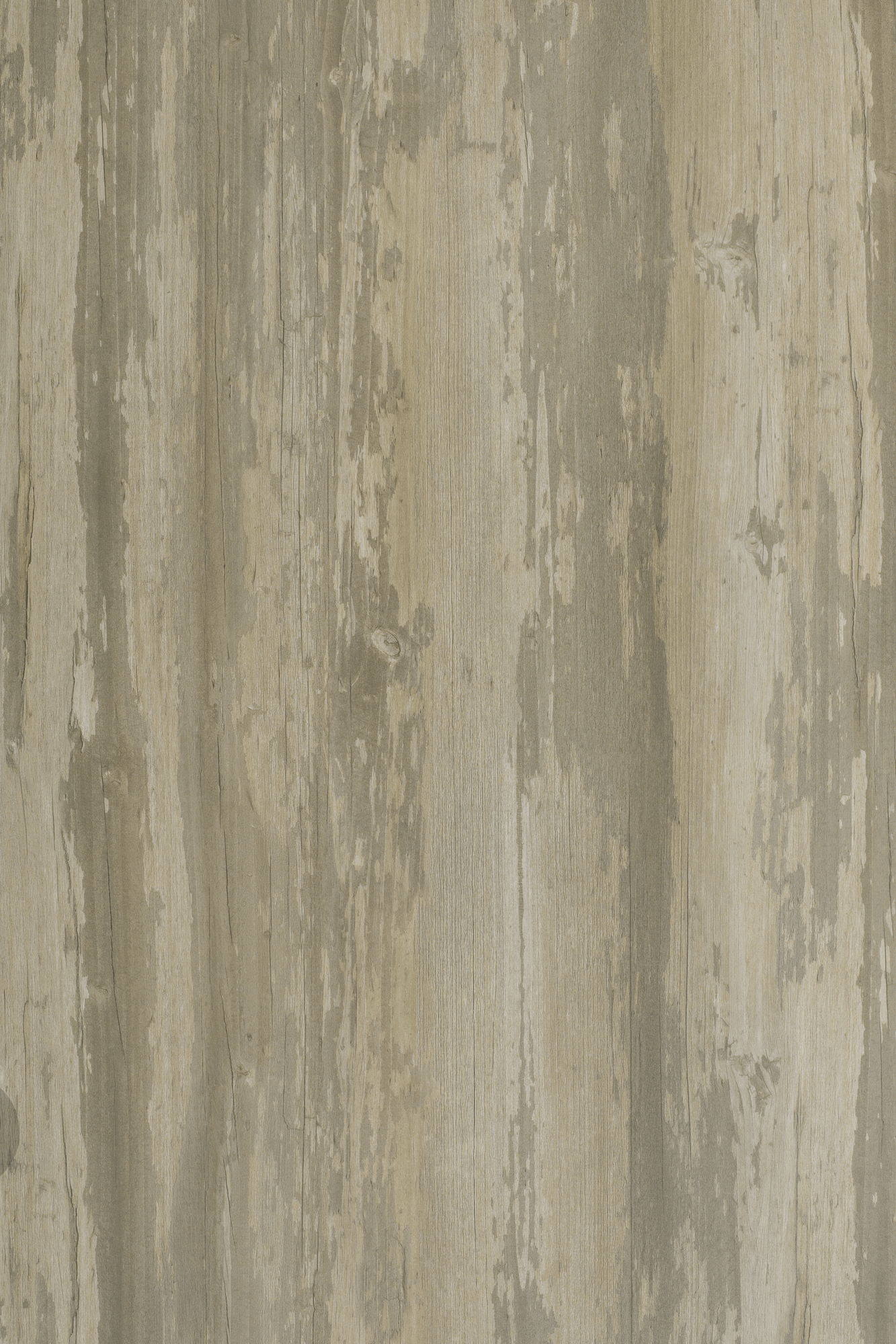 7389 Select Tan Oak - Wood Grains