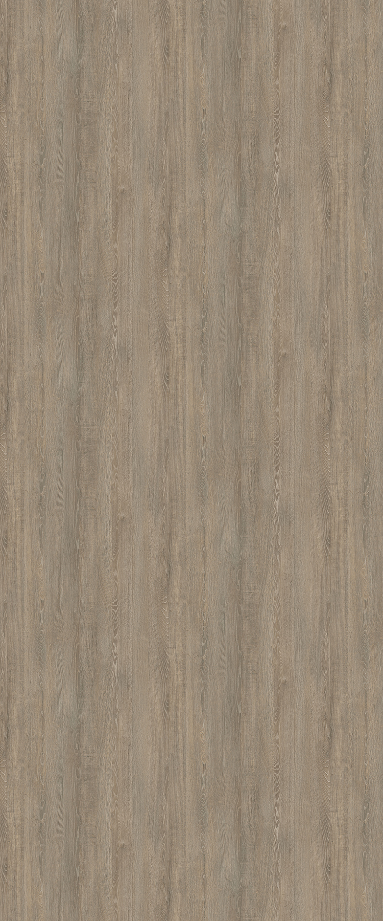 F8588 Nevada Oak - Formica® Laminate Collection