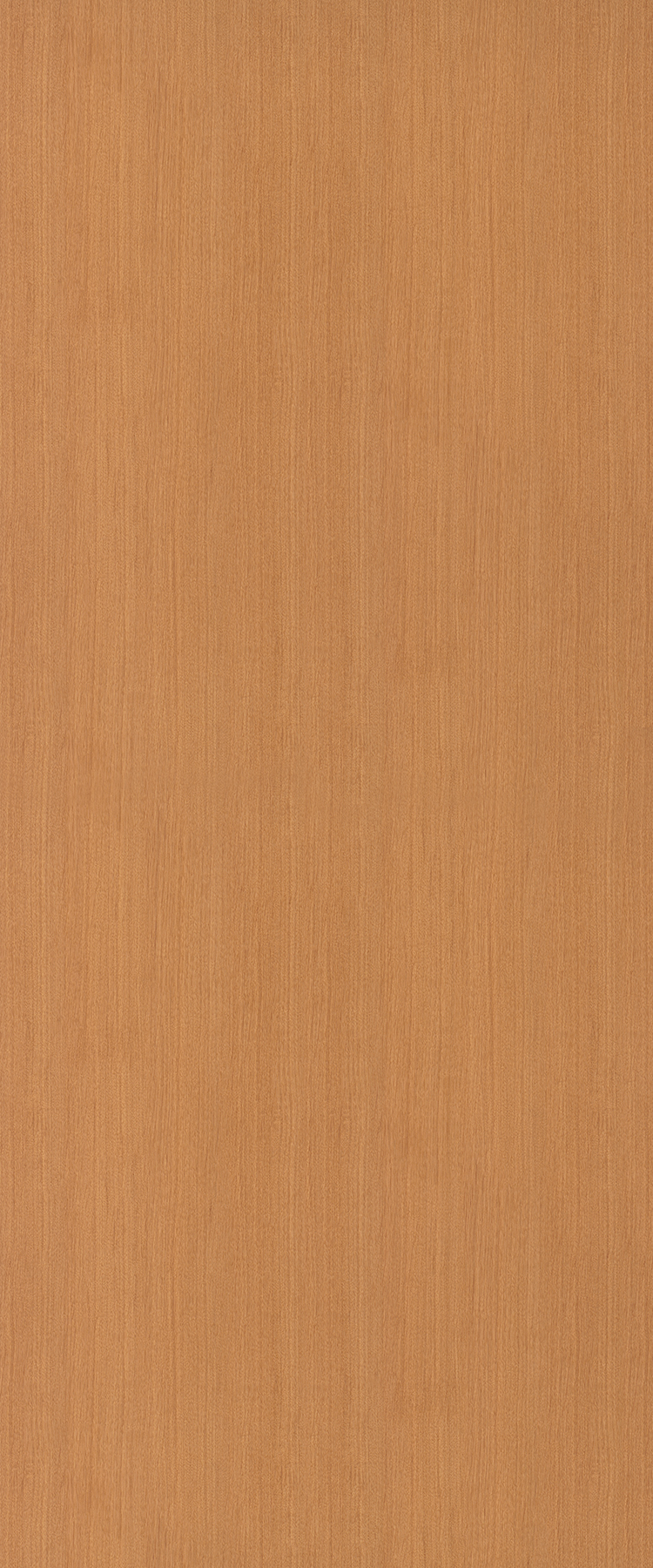 8677 Scandi Rift Oak - Formica® Compact