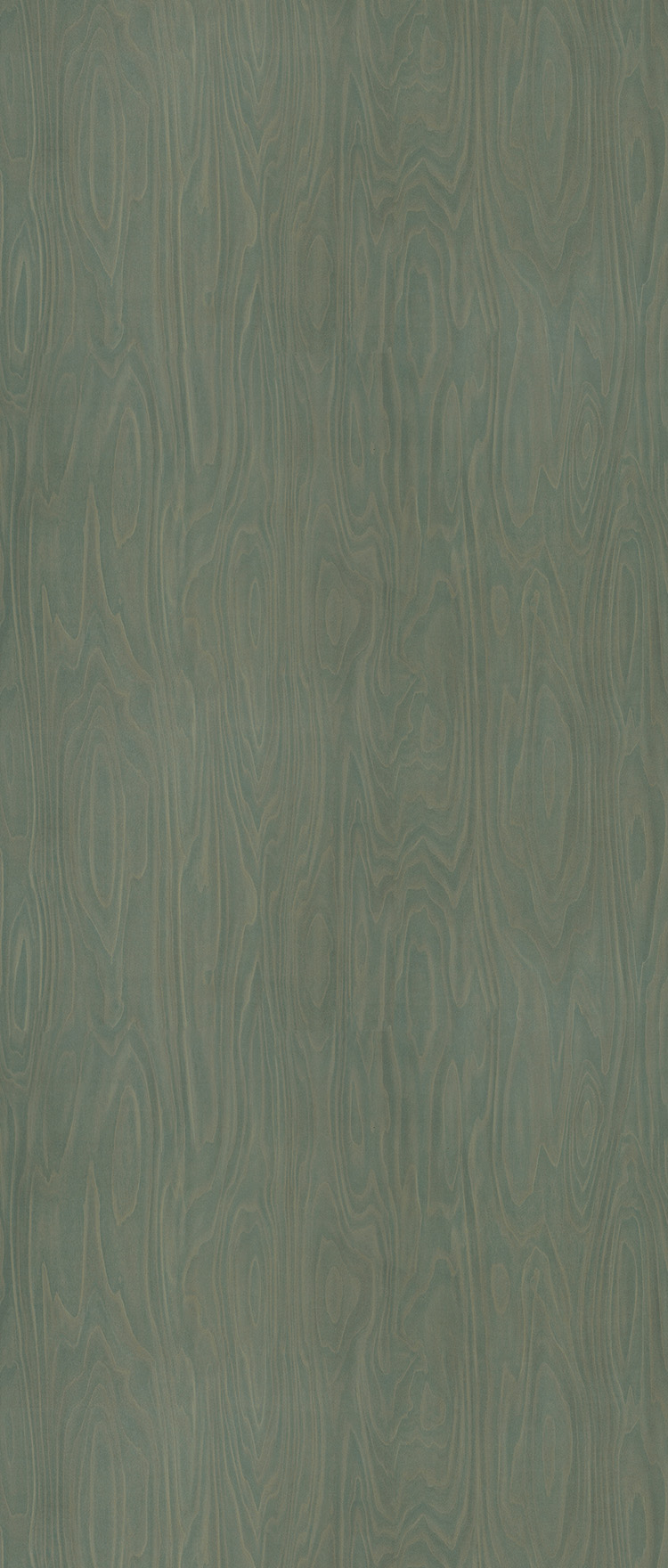 F8911 Green Slate Birchply - Formica® Laminate Collection
