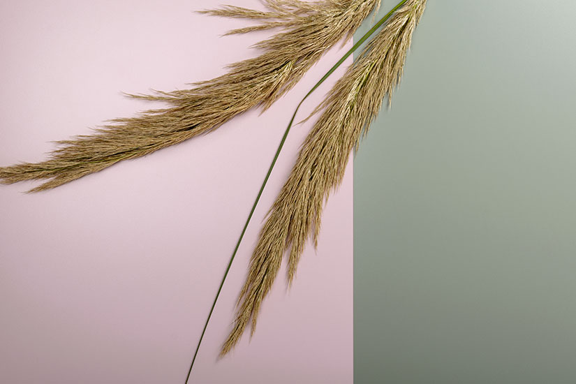 Formica Group | The colour of summer