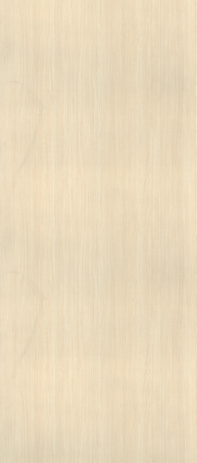 F1004 Pale Ash - Formica® Doors Collection