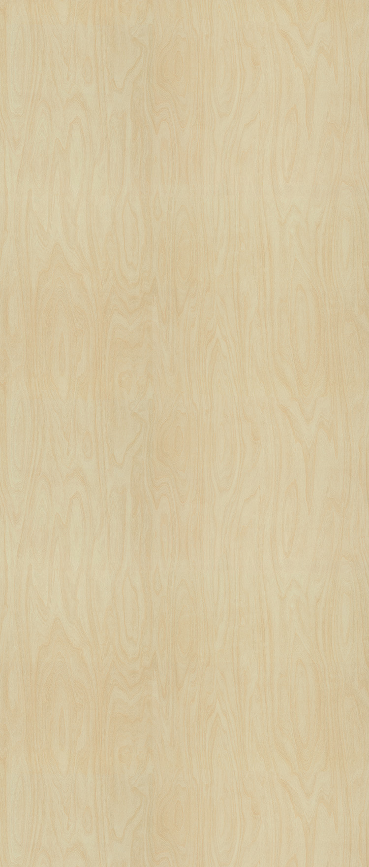 F8910 Raw Birchply - Formica® Laminate Collection