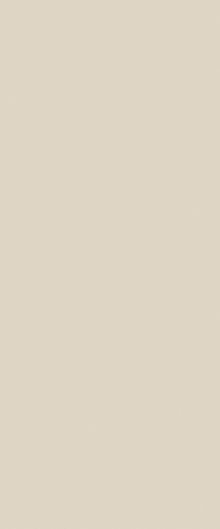 0858 Pumice - Solid Colors