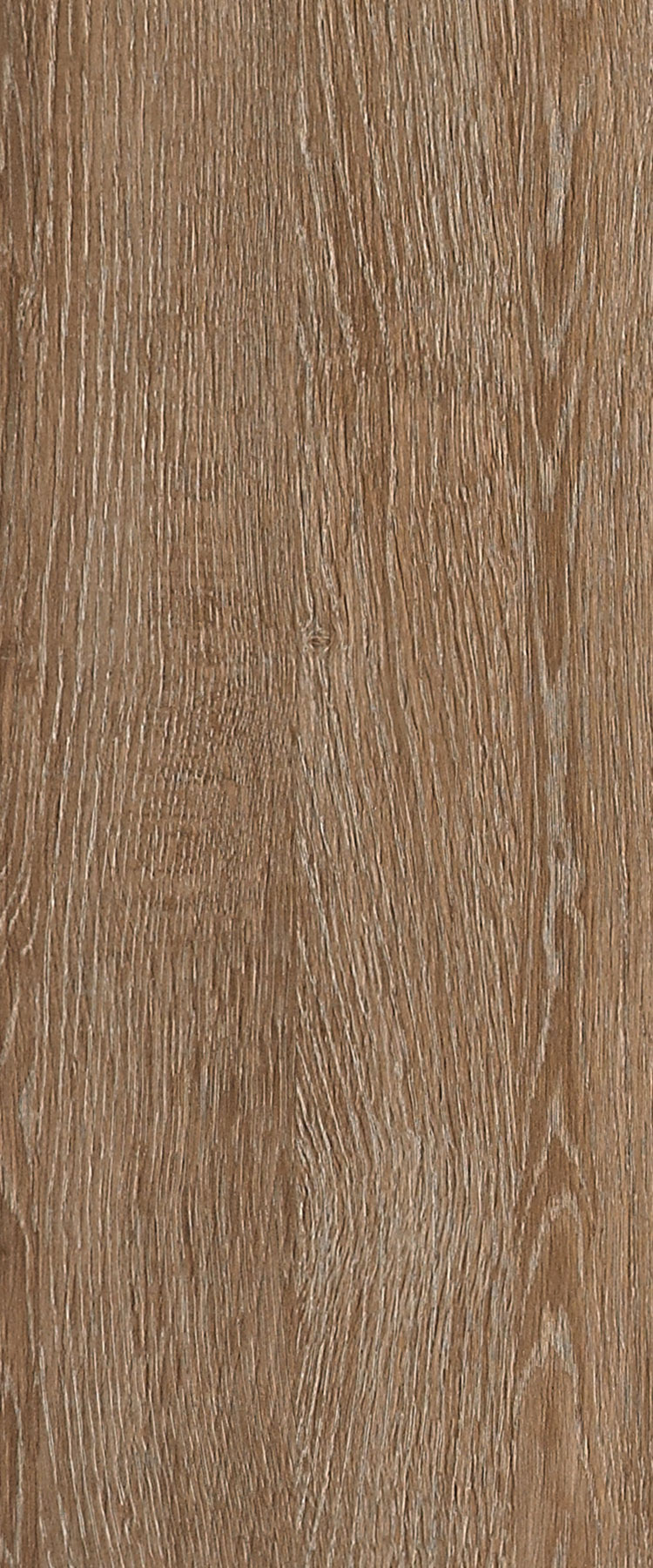 8853 Rural Oak - Wood Grains