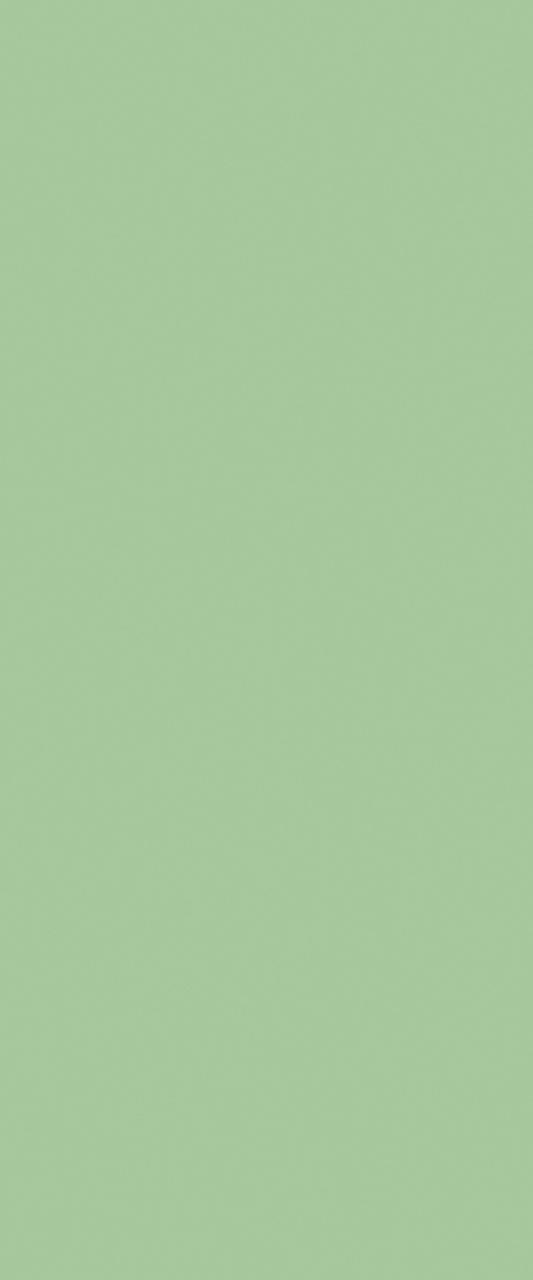 8794 Enamel - Solid Color