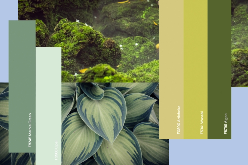 Enhancing Neuro-Inclusive Spaces with Pink and Green: A Guide to Decor ...