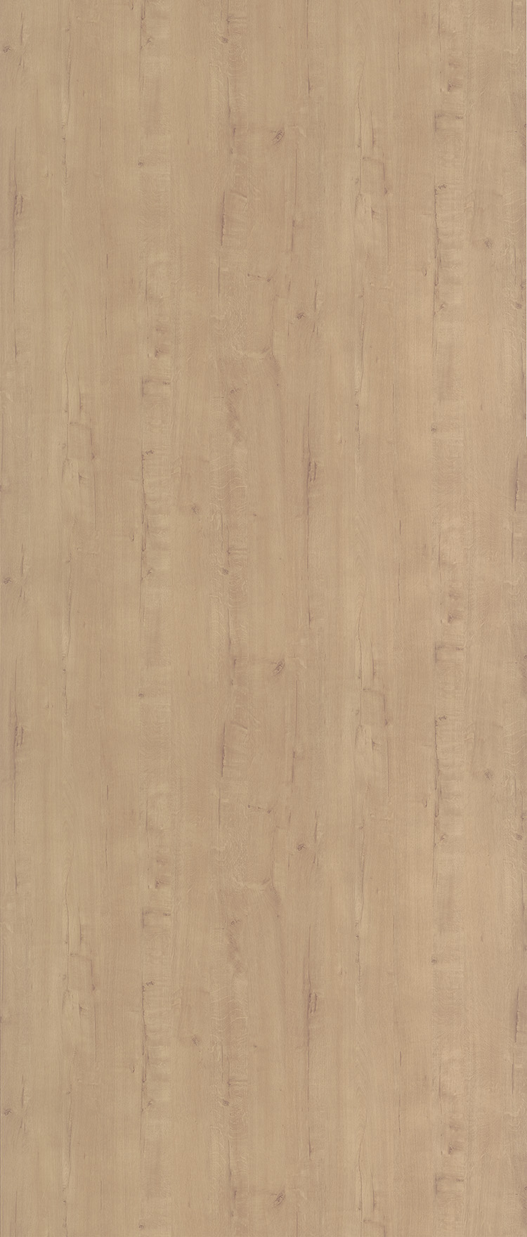 F8584 Quercus Beige - Formica® Laminate Collection