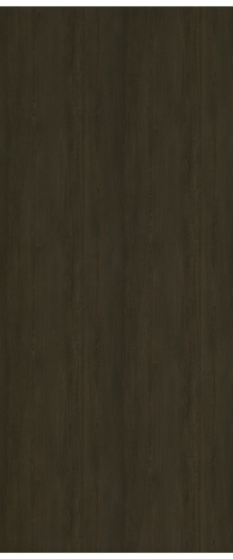 F8589 Tula Oak - Formica® Laminate Collection