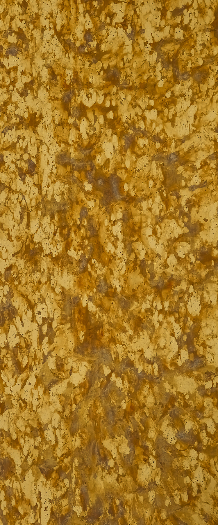 Malaysia Edition 24/25 Pg 54