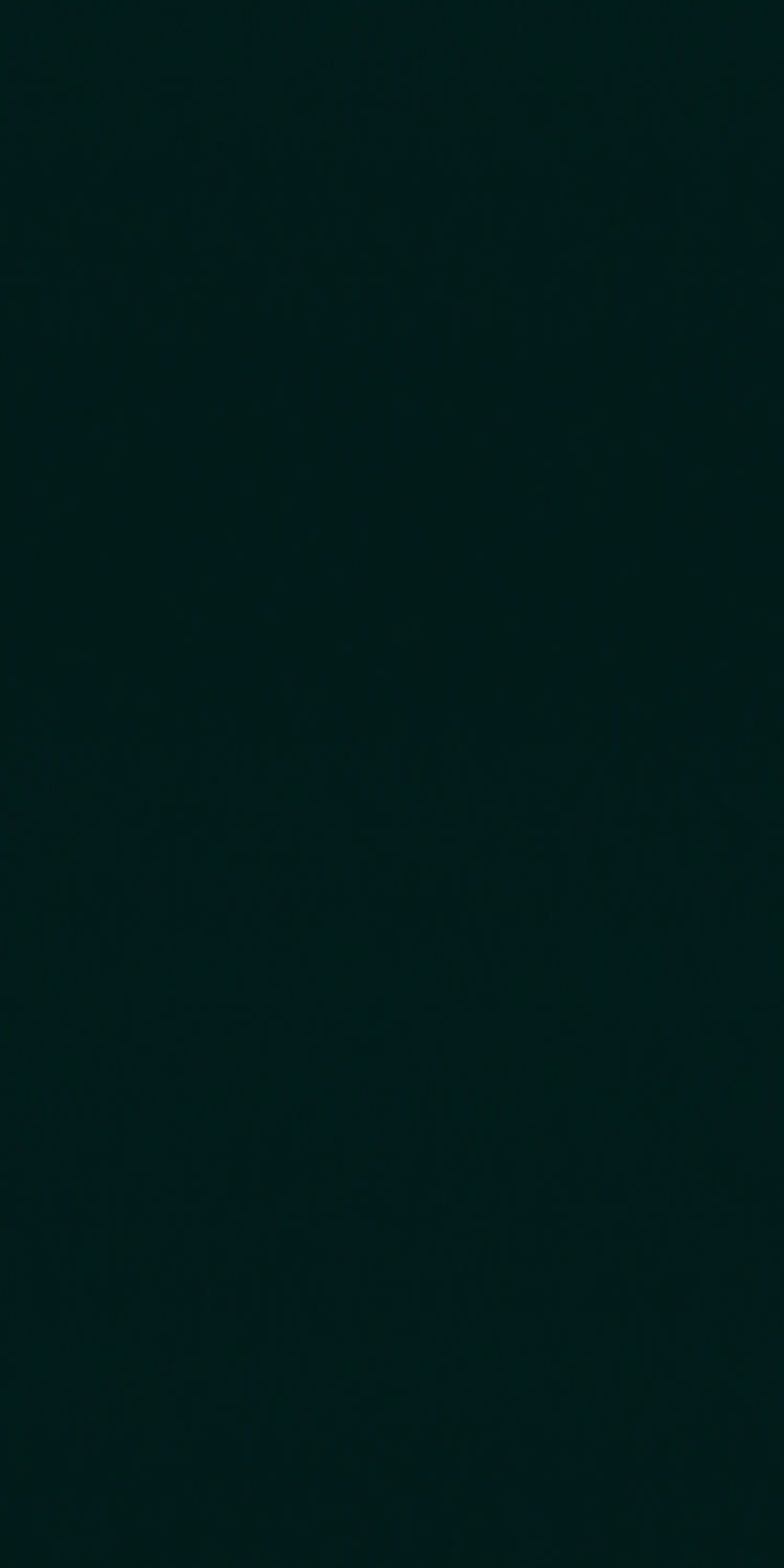 8244 Night Forest - Solid Colors