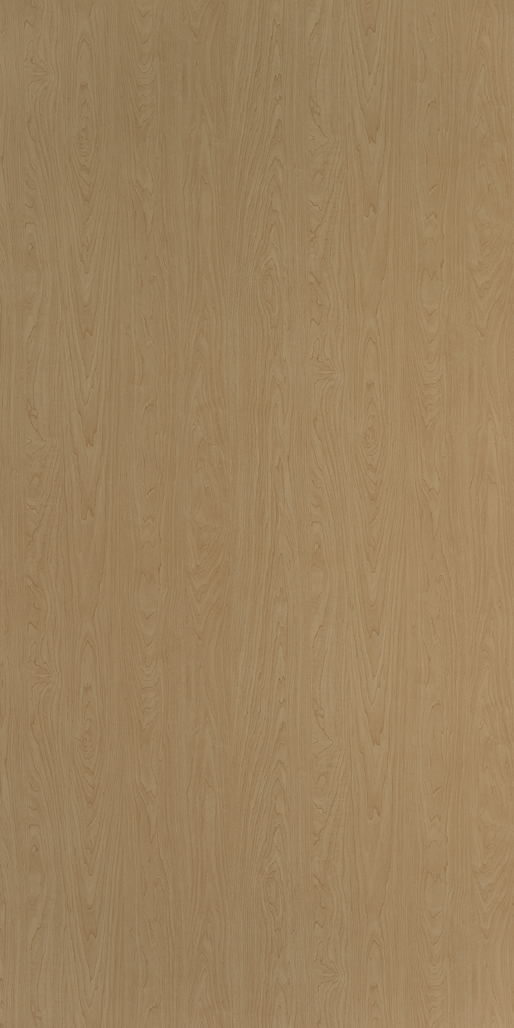 Formica Singapore Collection 2024 Wood Grains 11