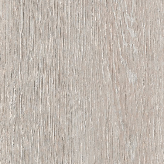 8854 Alabaster Oak - Wood Grains
