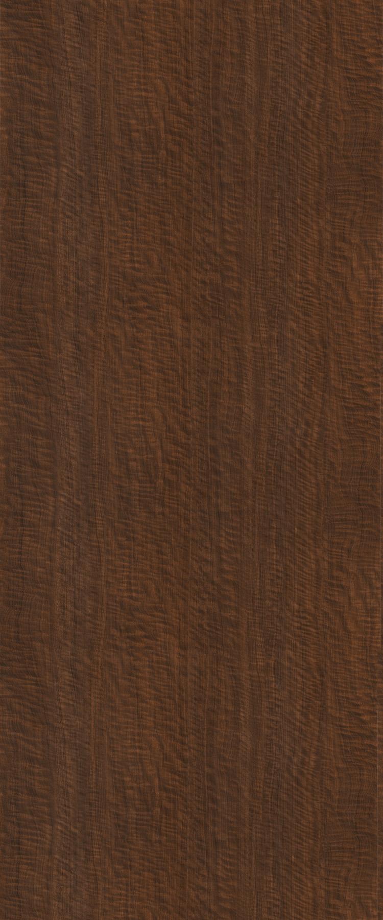 3485 Black Walnut - Formica® Compact