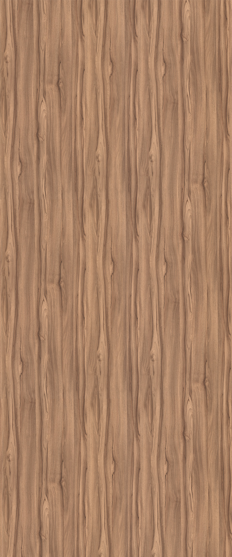 5487 Oiled Walnut - Formica® Compact