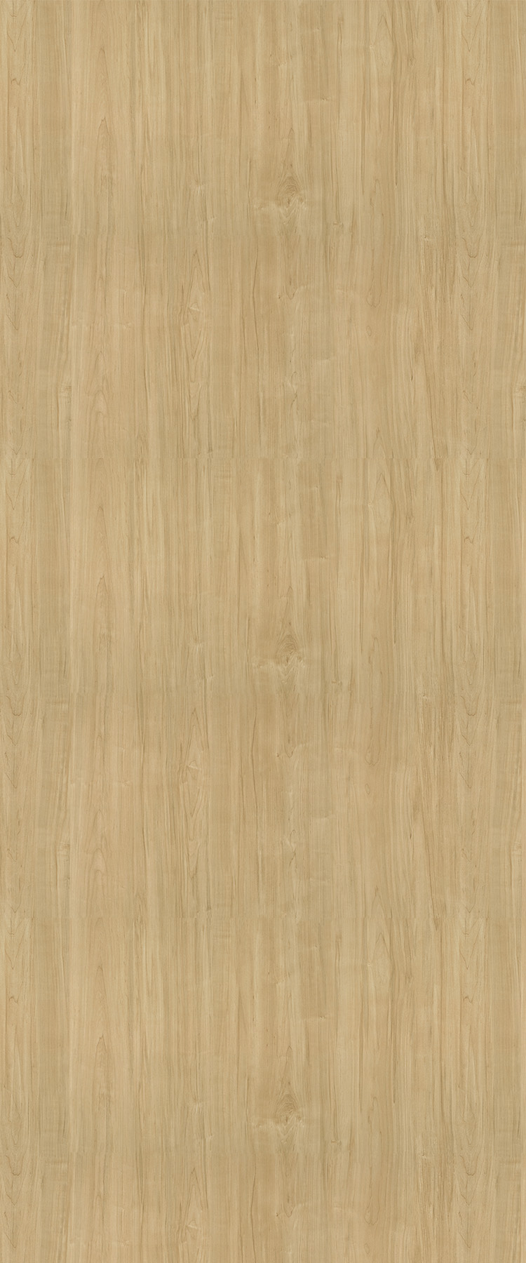 8906 Danish Maple - Formica® Compact