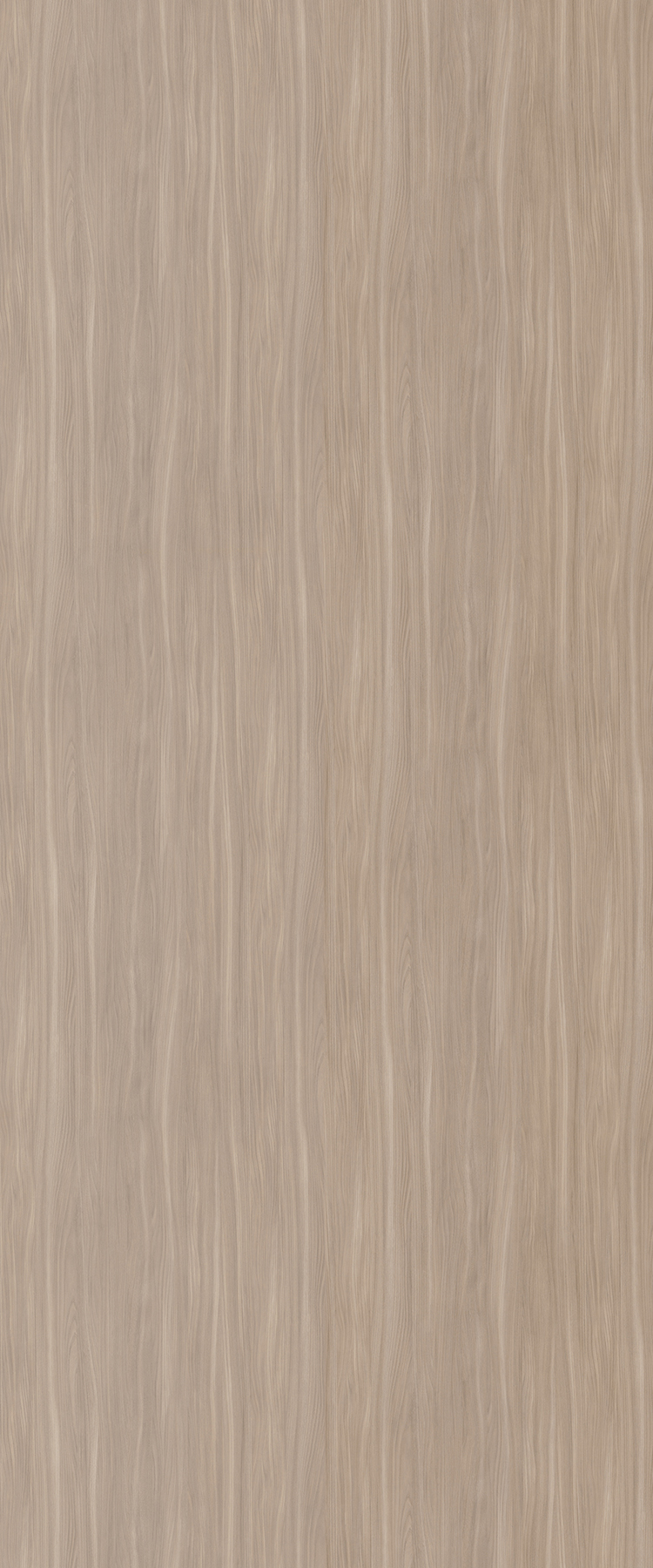 5793 Buff Elm - Formica® Laminate - Commercial