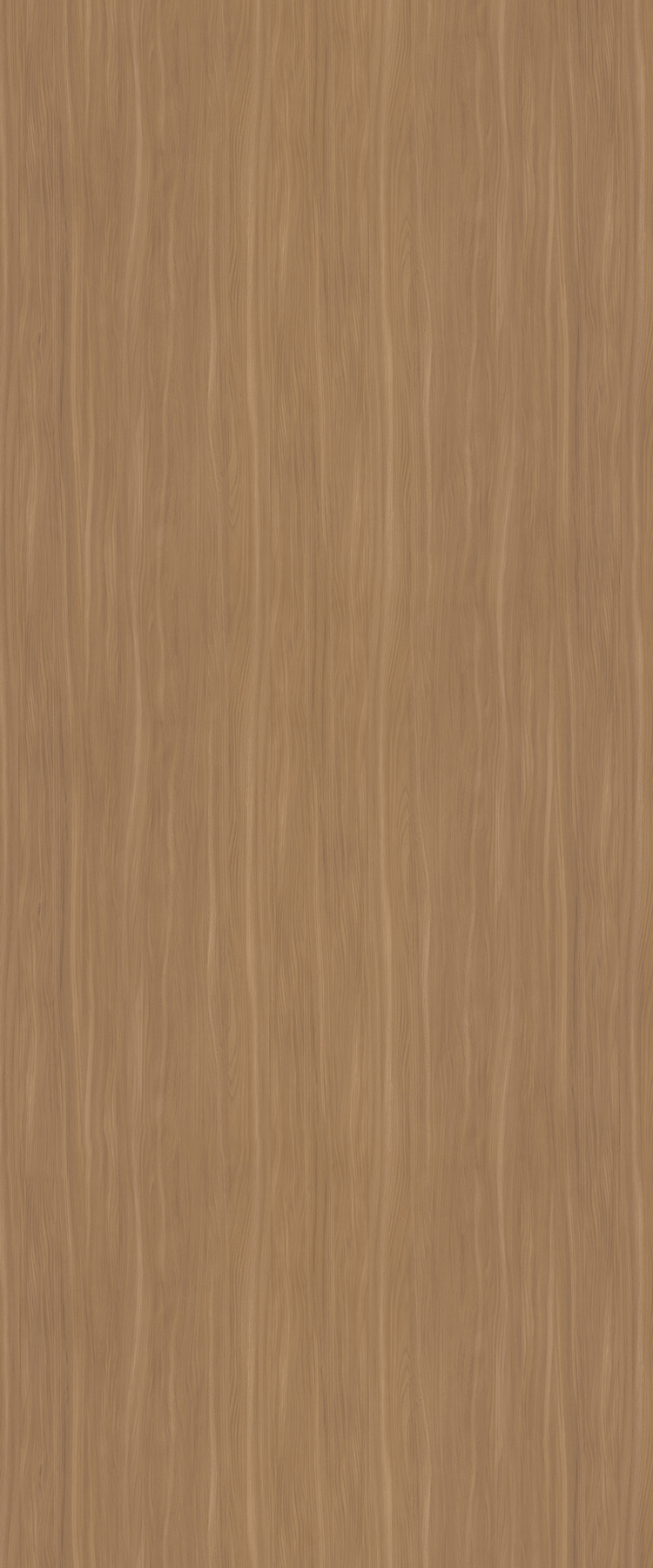 5794 Beige Elm - Formica® Laminate - Commercial