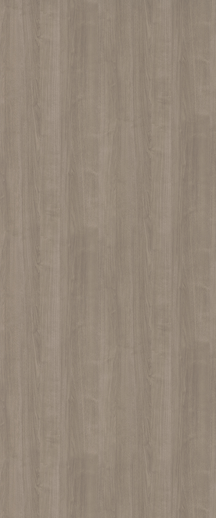 6994 Ceruse Gray Walnut - Formica® Compact