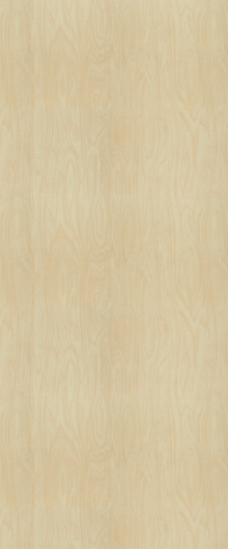 8910 Raw Birchply - Formica® Compact