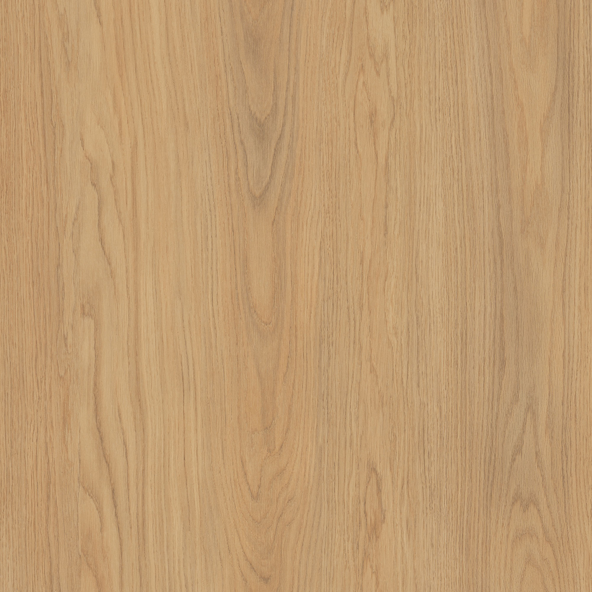 9038 Natural White Oak - Formica® Laminate - Commercial
