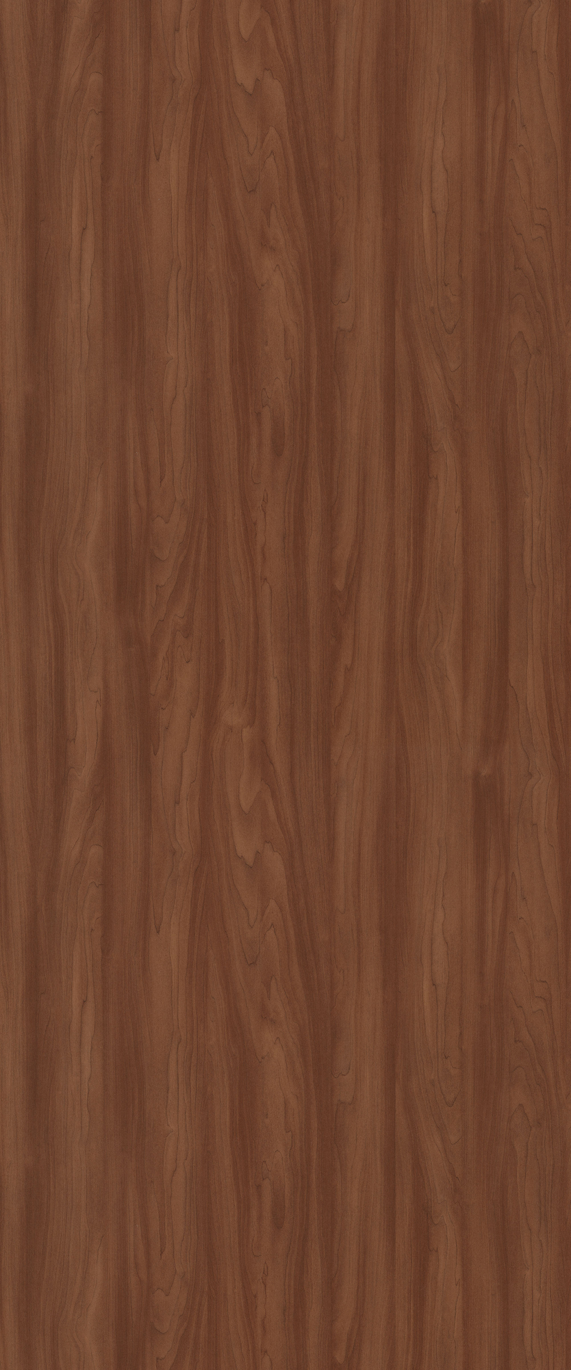 9040 Fumed Maple - Formica® Laminate - Commercial