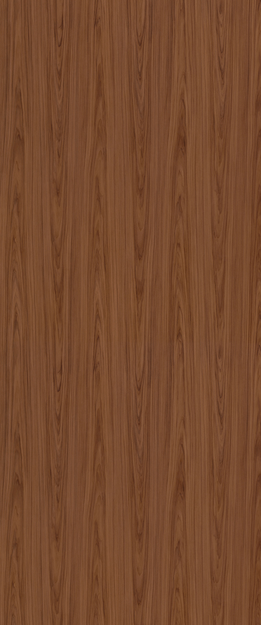 9042 Brun Refined Hickory - Formica® Laminate - Commercial