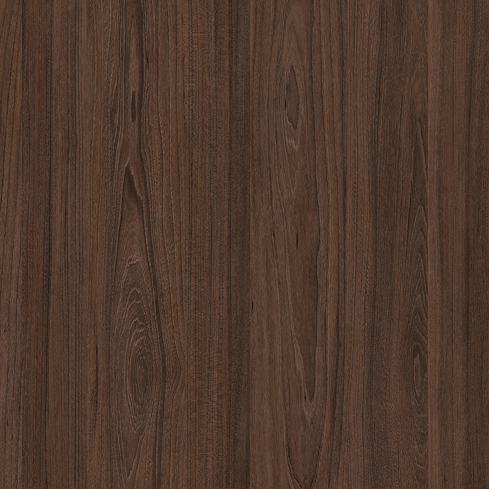 J4548 Olmo Scuro - Arpa®