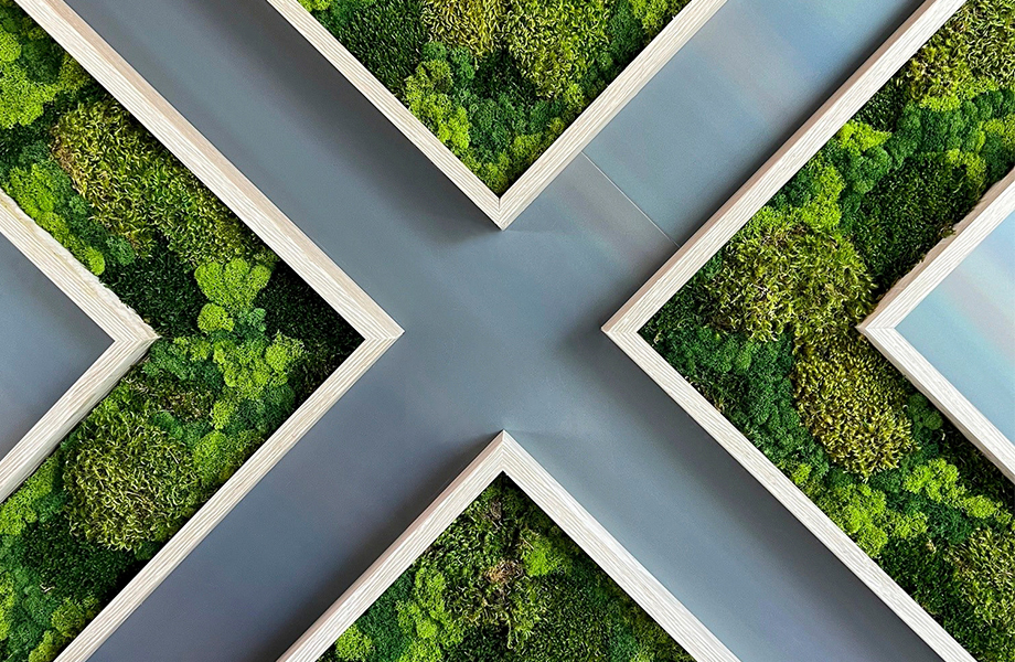 Credit One Stadium Case Study | Formica Group