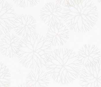 Formica Group celebra su 110 aniversario en 2023 | Formica Group