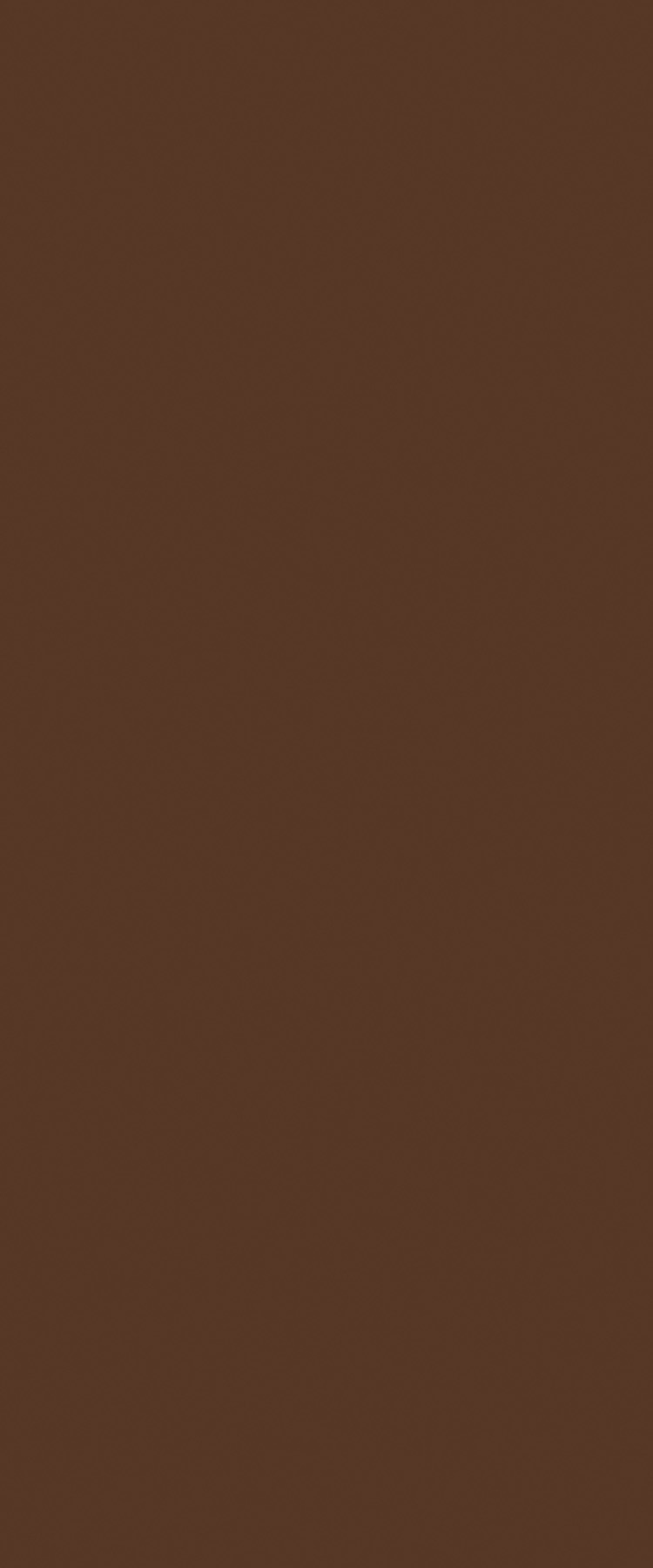 2200 Dark Chocolate - Laminado Formica®- Segmento Comercial