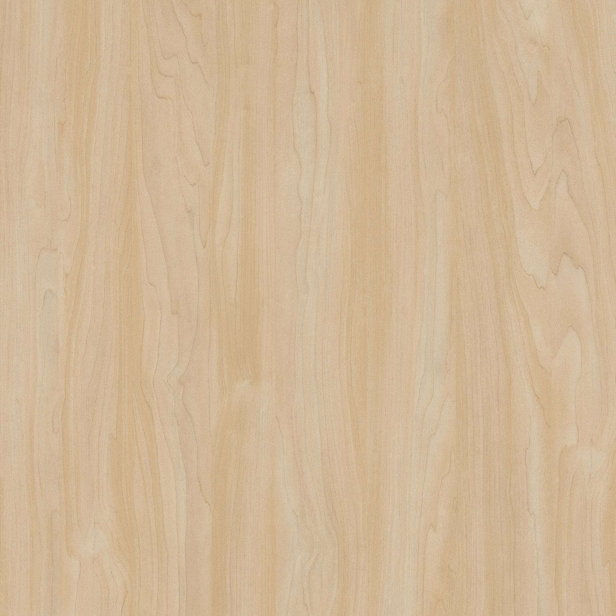 9039 Silver Maple - Laminado Formica®- Segmento Comercial