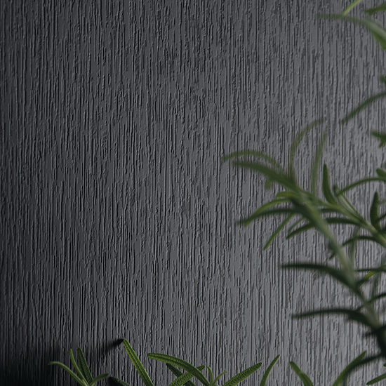 F8848 Blackened Legno - Formica® Door Collection