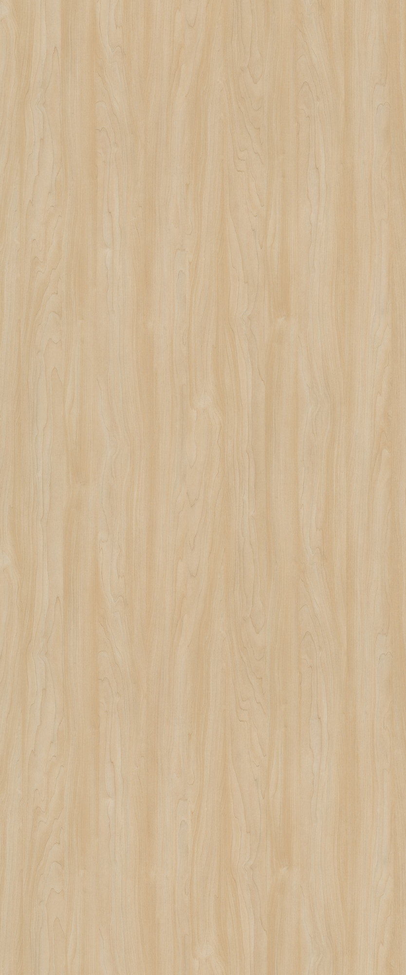 9039 Érable Argenté - Stratifiés de marque Formica® - commerciaux