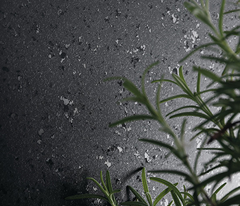 Surface in 360 | Formica Group