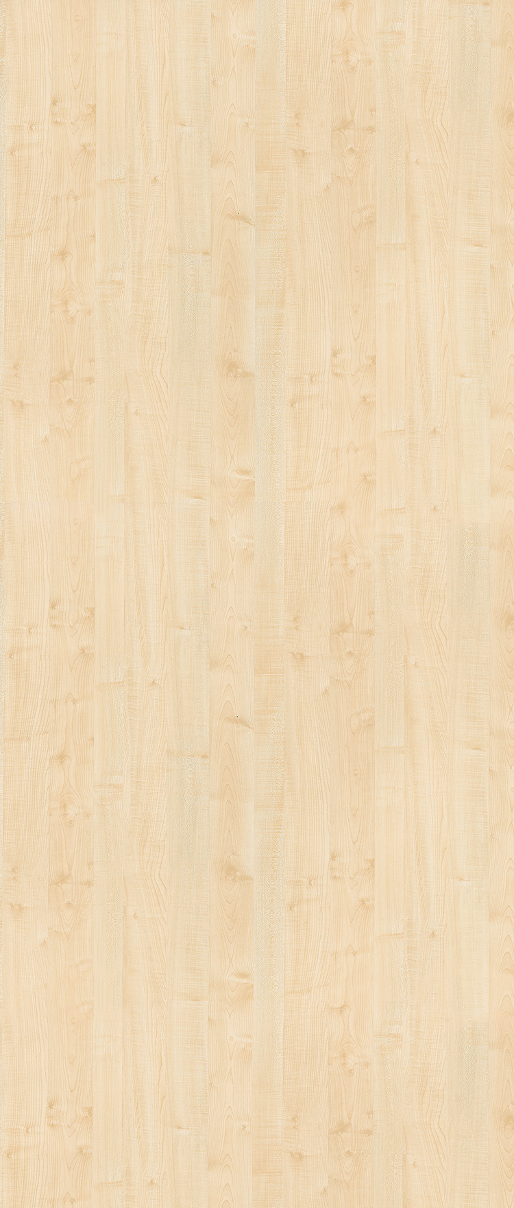 F3855 Clear Maple - Formica® Laminate Collection