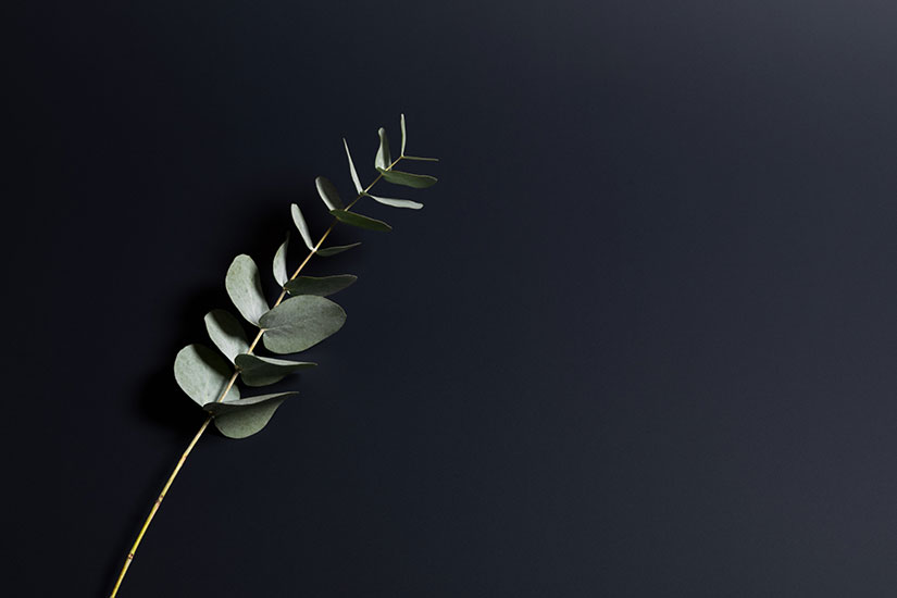 7 Warming Winter Colours | Formica Group