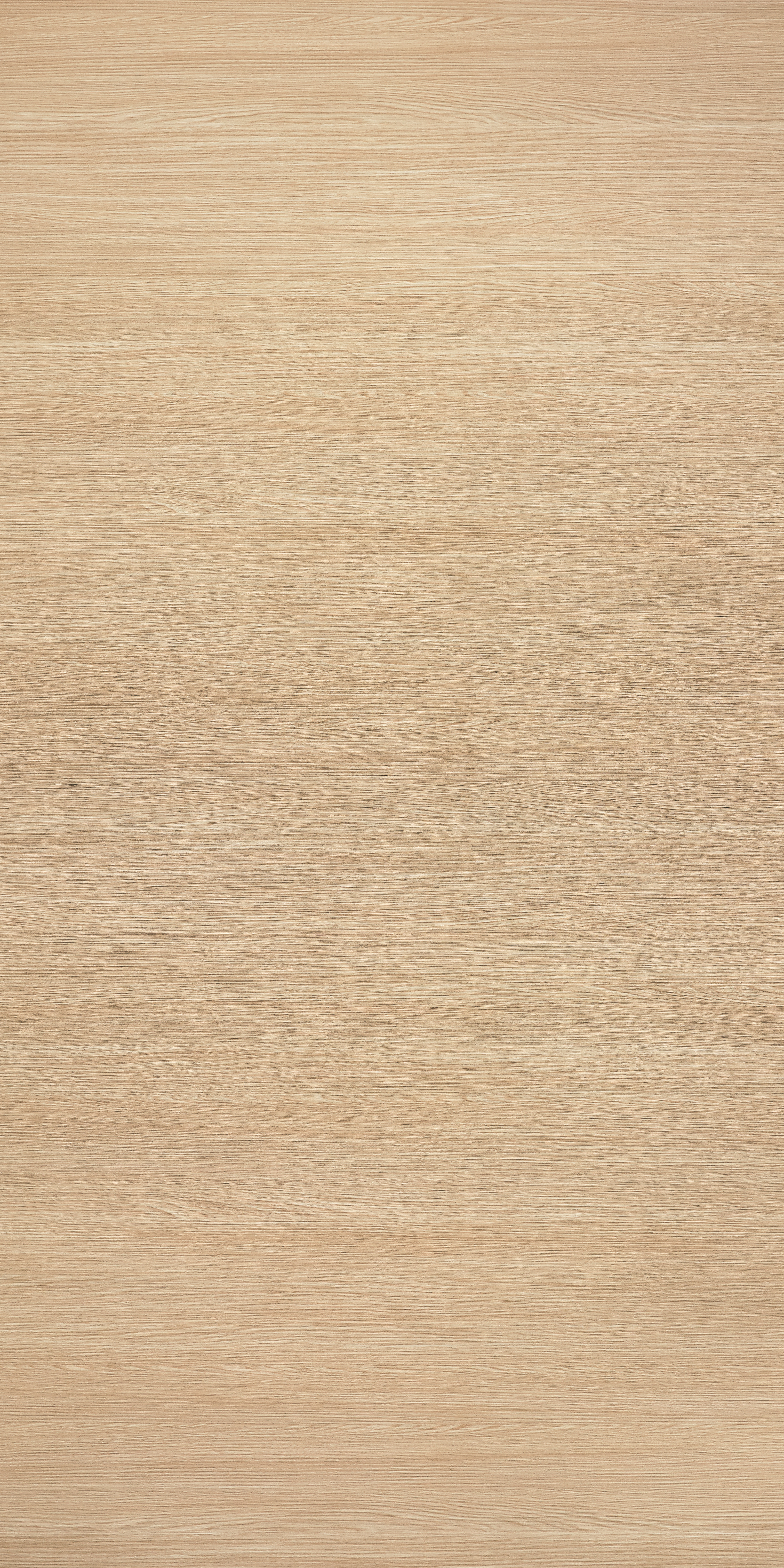 Horizontal - Horizontal Ash