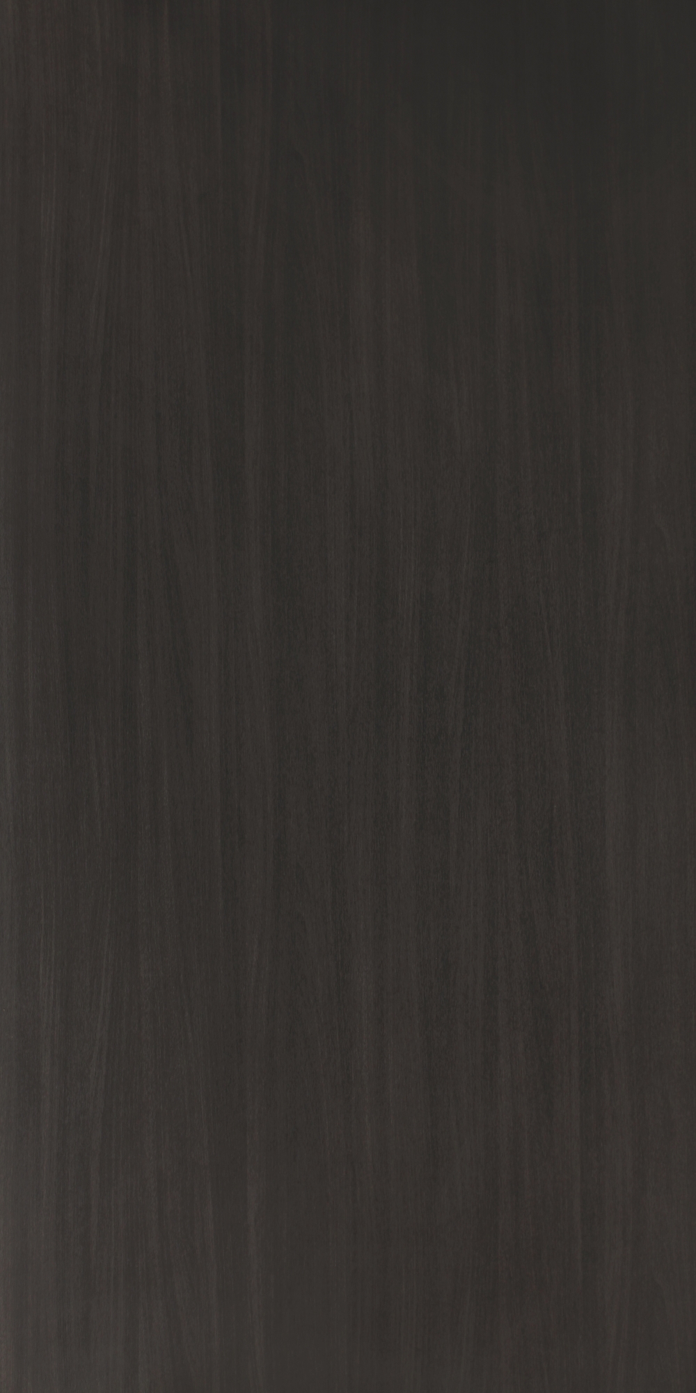 Partial Crown - Legno