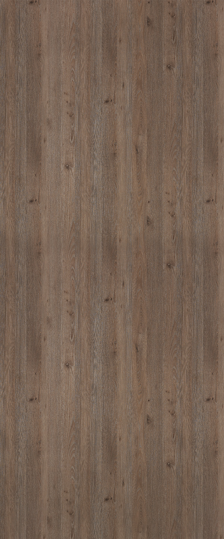 6437 Chalked Knotty Ash - Wood Grains