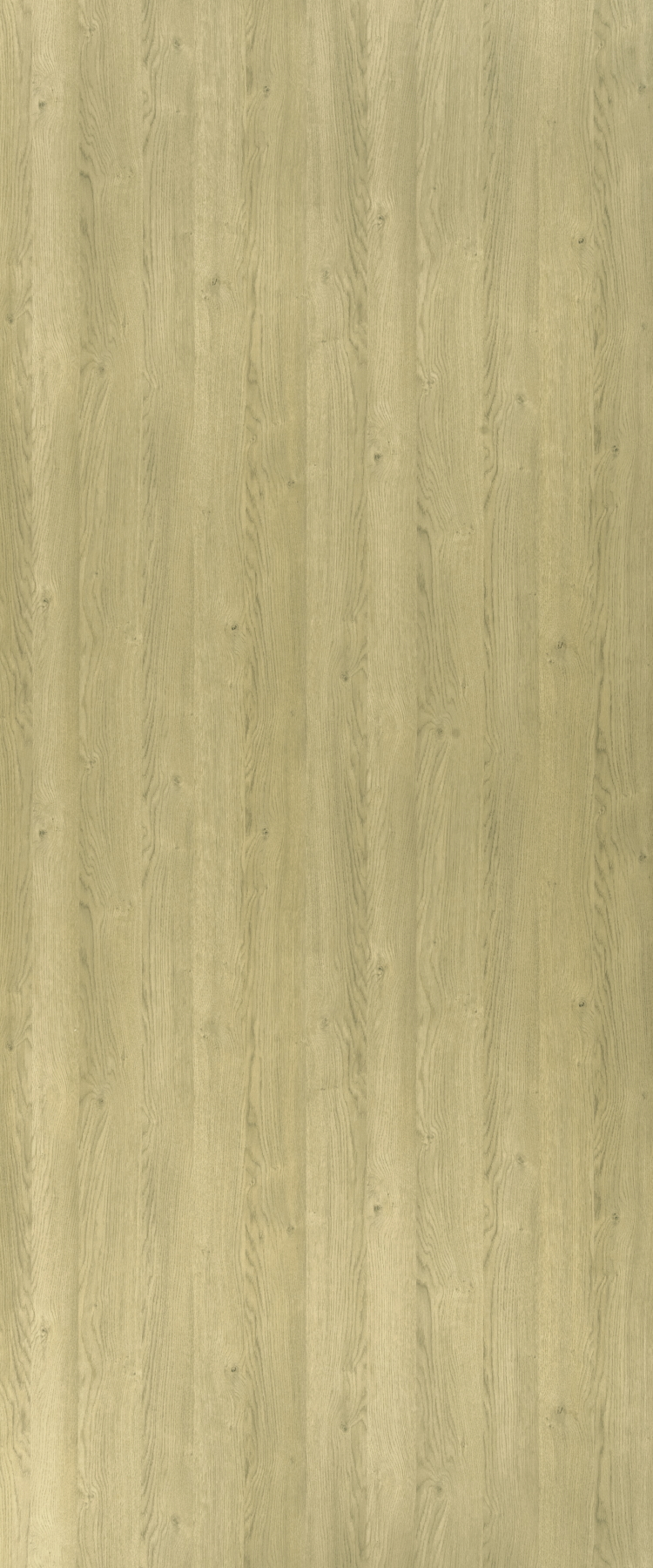 J5675 Rovere Waldweg