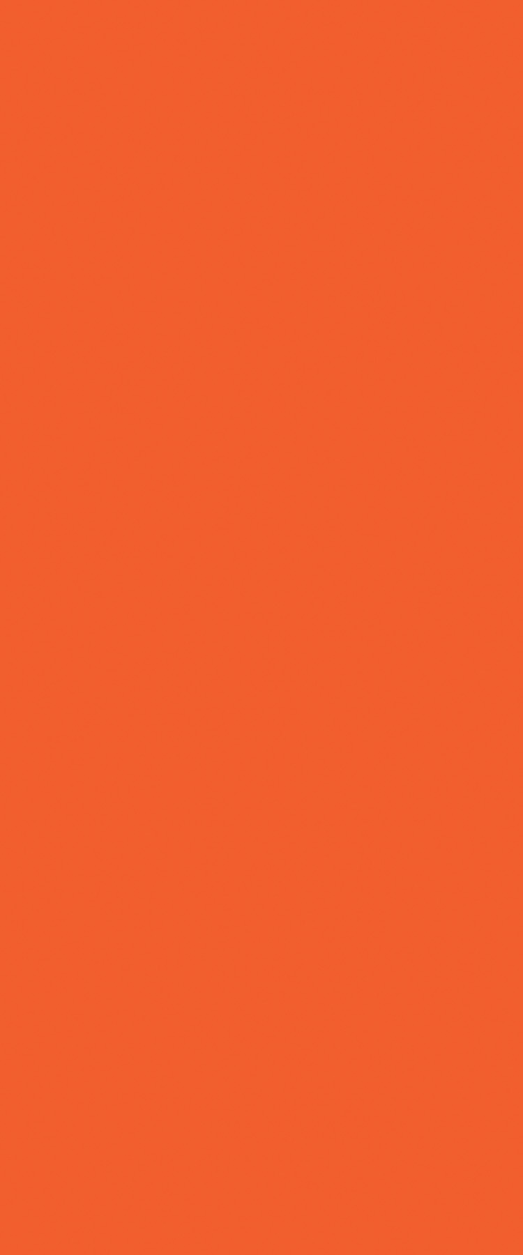 2962 Clementine - Solid Colors