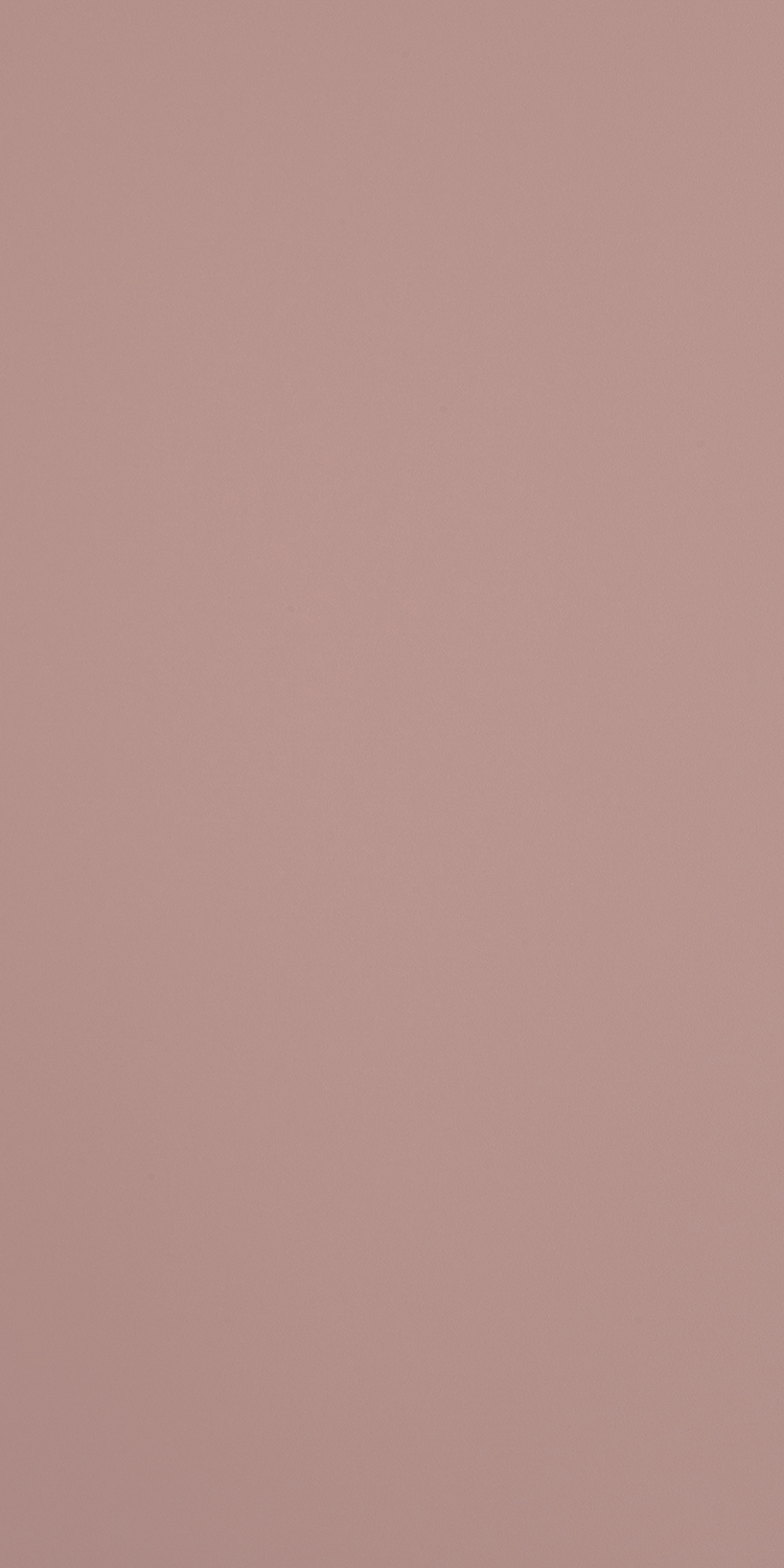 8238 Blush - Solid Colors