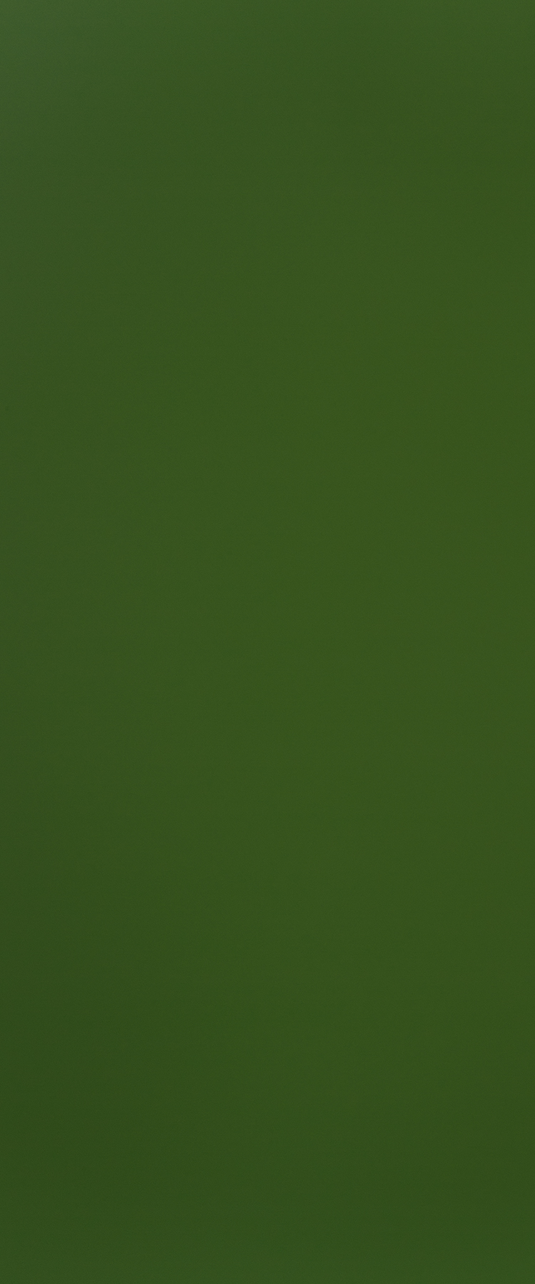 8796 Algae - Solid Colors