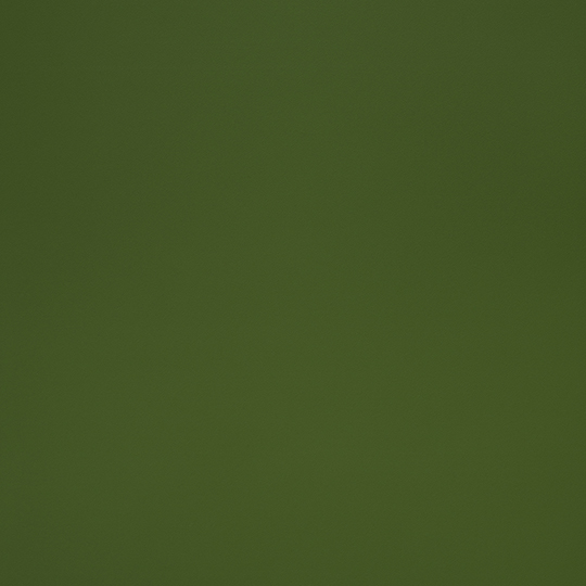 8796 Algae - Solid Colors